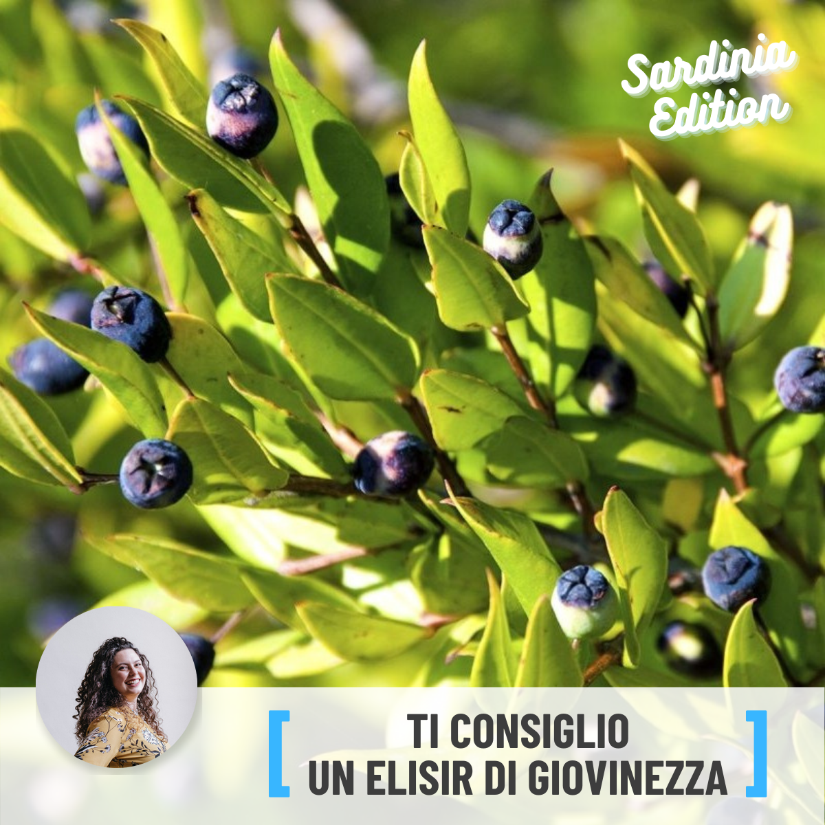 Laura Spanu - Inbound Marketing Specialist | HappyMinds